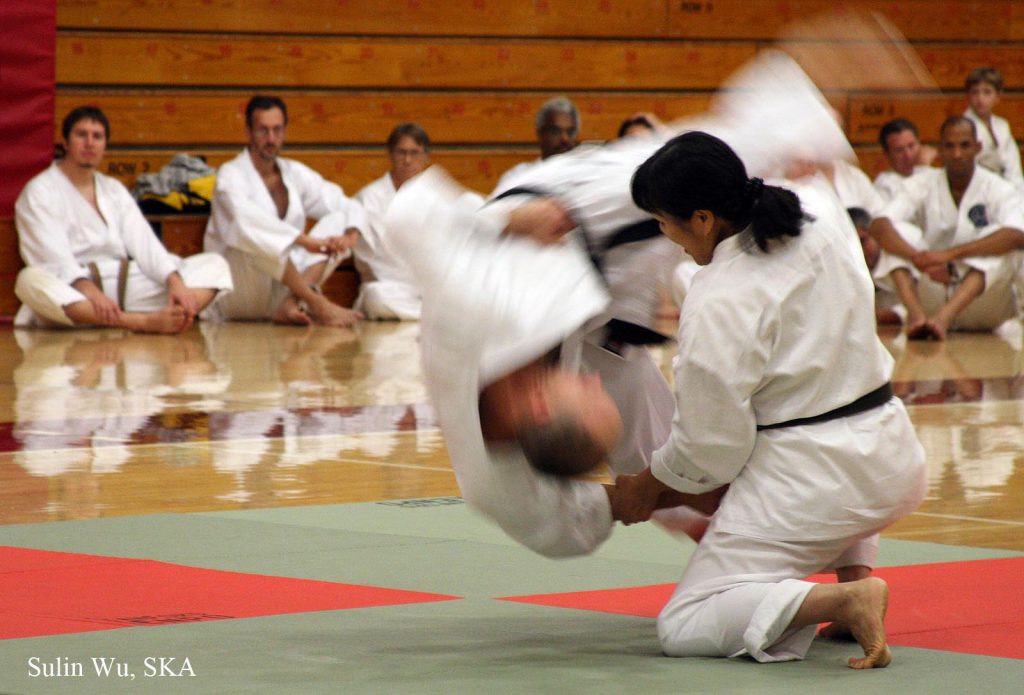 מהו קראטה? - שוטוקאן אושימה דוג'ו קראטה – דו ישראל